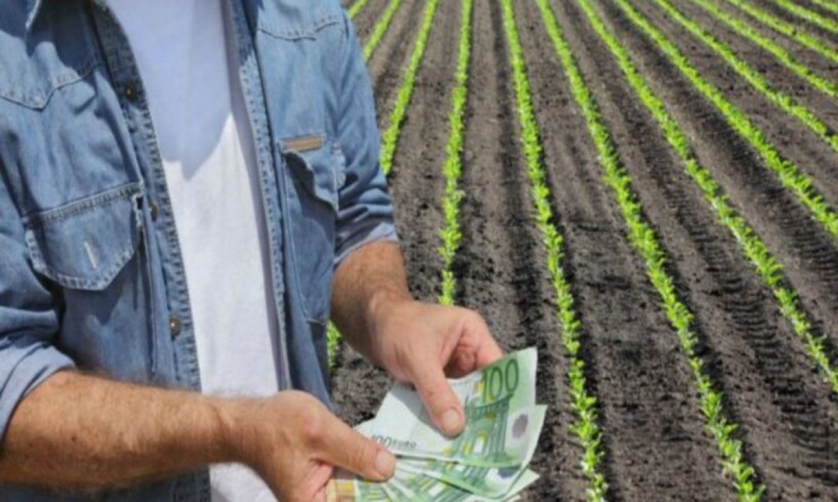 APIA a dat startul plăților în avans pentru Campania 2022 | Giurgiuveanul.ro – stiri din Giurgiu ...