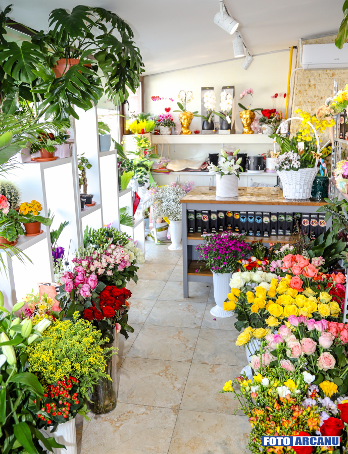 Şi pe 8 Martie, florăria „Antonia’s Flower Paradise” vă oferă flori ...
