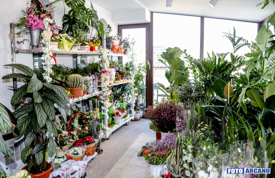 Şi pe 8 Martie, florăria „Antonia’s Flower Paradise” vă oferă flori ...
